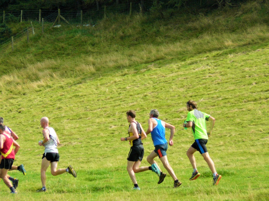 Race 31: Race the Train, Tywyn, Wales, 15th August 2015 – Around the ...